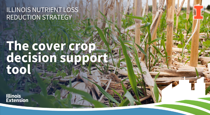 Make managing cover crops easier using the Cover Crop Decision Support Tool | Nutrient Loss ...